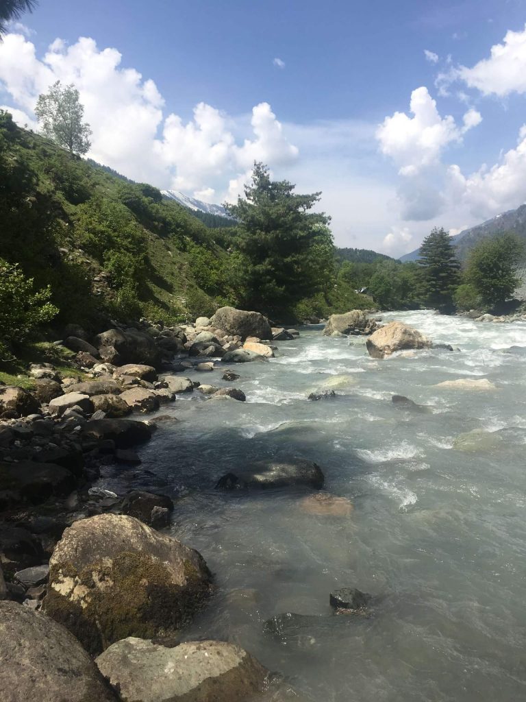 Journey to the Sea by Priyanka Sacheti - India Rivers Forum